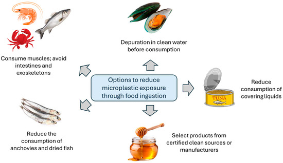 Counteracting the Harms of Microplastics on Humans: An Overview from ...