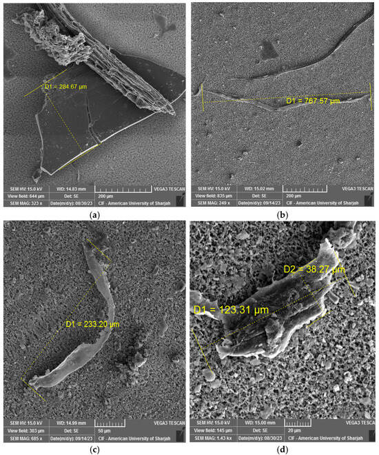 Microplastics Contamination on the Surfaces of Fruits and Vegetables ...