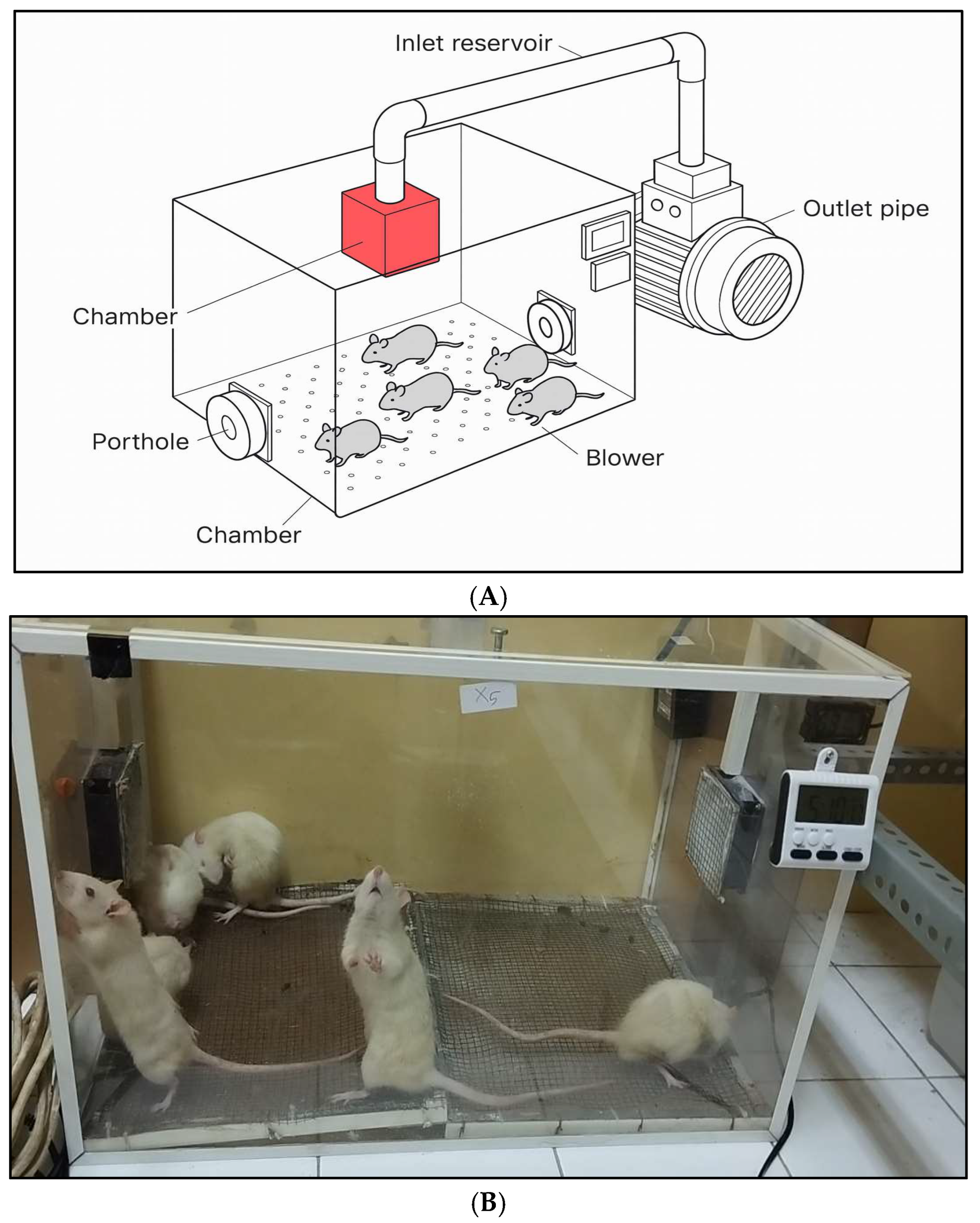 The Effect of Subchronic Polyethylene Microplastic Exposure on ...