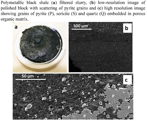 Minerals | Free Full-Text | Review of Biohydrometallurgical Metals ...
