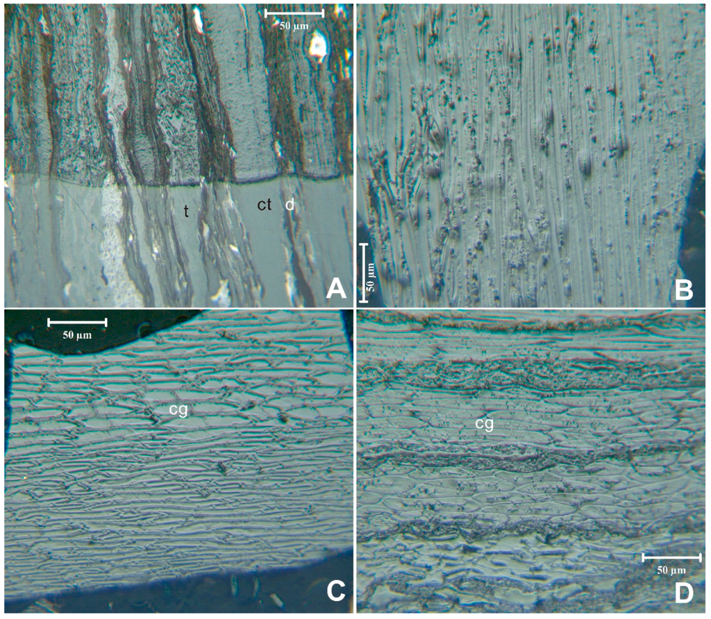 Petrology, Palynology, and Geochemistry of Gray Hawk Coal (Early ...