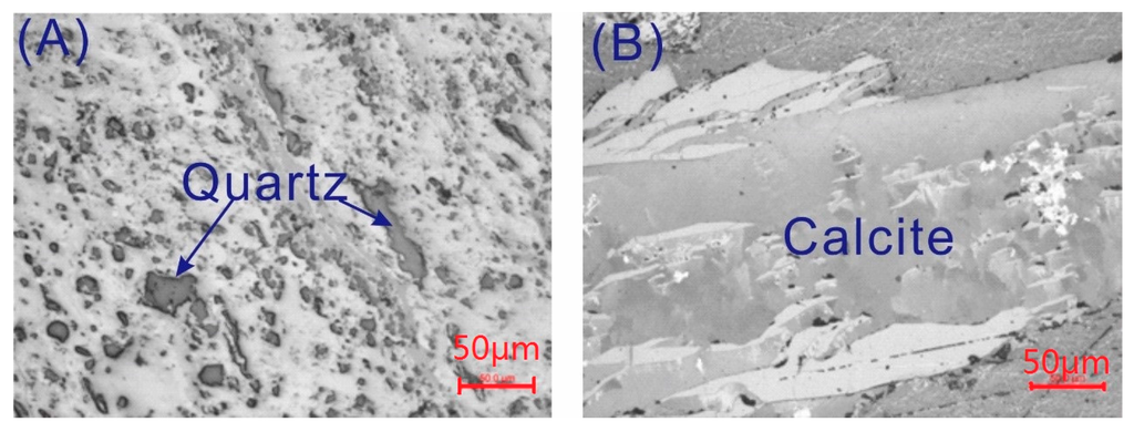 Geochemical Characteristics of Trace Elements in the No. 6 Coal Seam ...