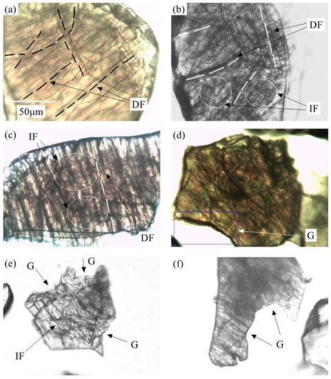 Dissolution Behaviors of Trace Muscovite during Pressure Leaching of ...