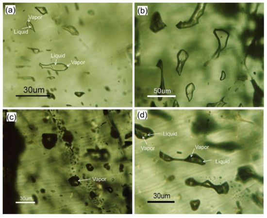 Minerals | Free Full-Text | The Shah-Ali-Beiglou Zn-Pb-Cu (-Ag) Deposit ...