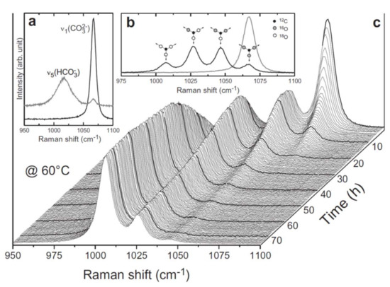 Tracing Mineral Reactions Using Confocal Raman Spectroscopy