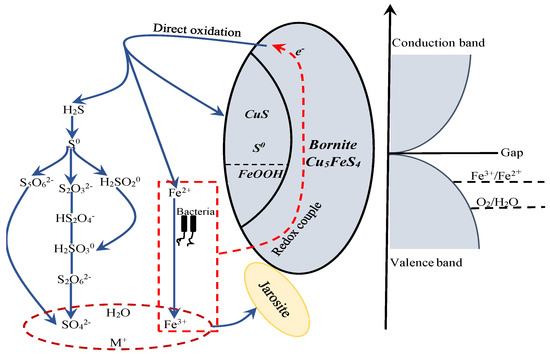 Dateisodium Dithionite Solubility In Watersvg Wikipedia