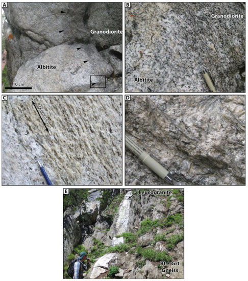 Dating Metasomatism: Monazite and Zircon Growth during Amphibolite ...