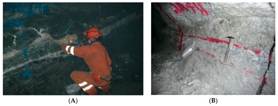 Integrating the Theory of Sampling into Underground Mine Grade Control ...