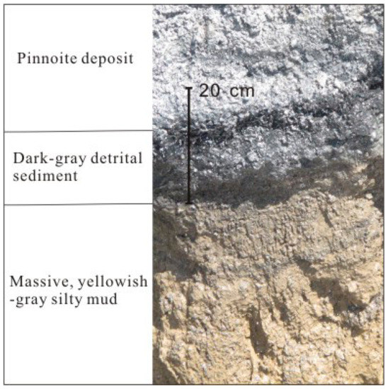 Minerals | Special Issue : Sedimentary Ore Deposits: Origin ...