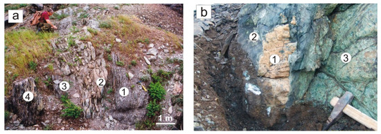 Physicochemical Model of Formation of Gold-Bearing Magnetite-Chlorite ...
