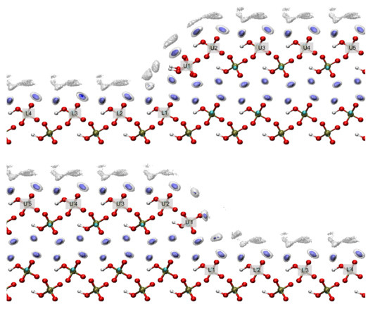 Water Structure, Dynamics and Ion Adsorption at the Aqueous {010 ...