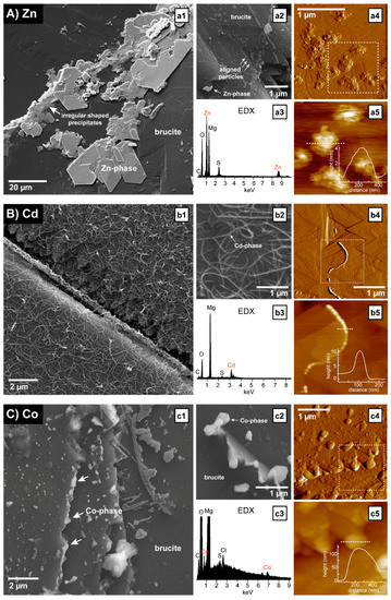 Metal Sequestration through Coupled Dissolution–Precipitation at the ...