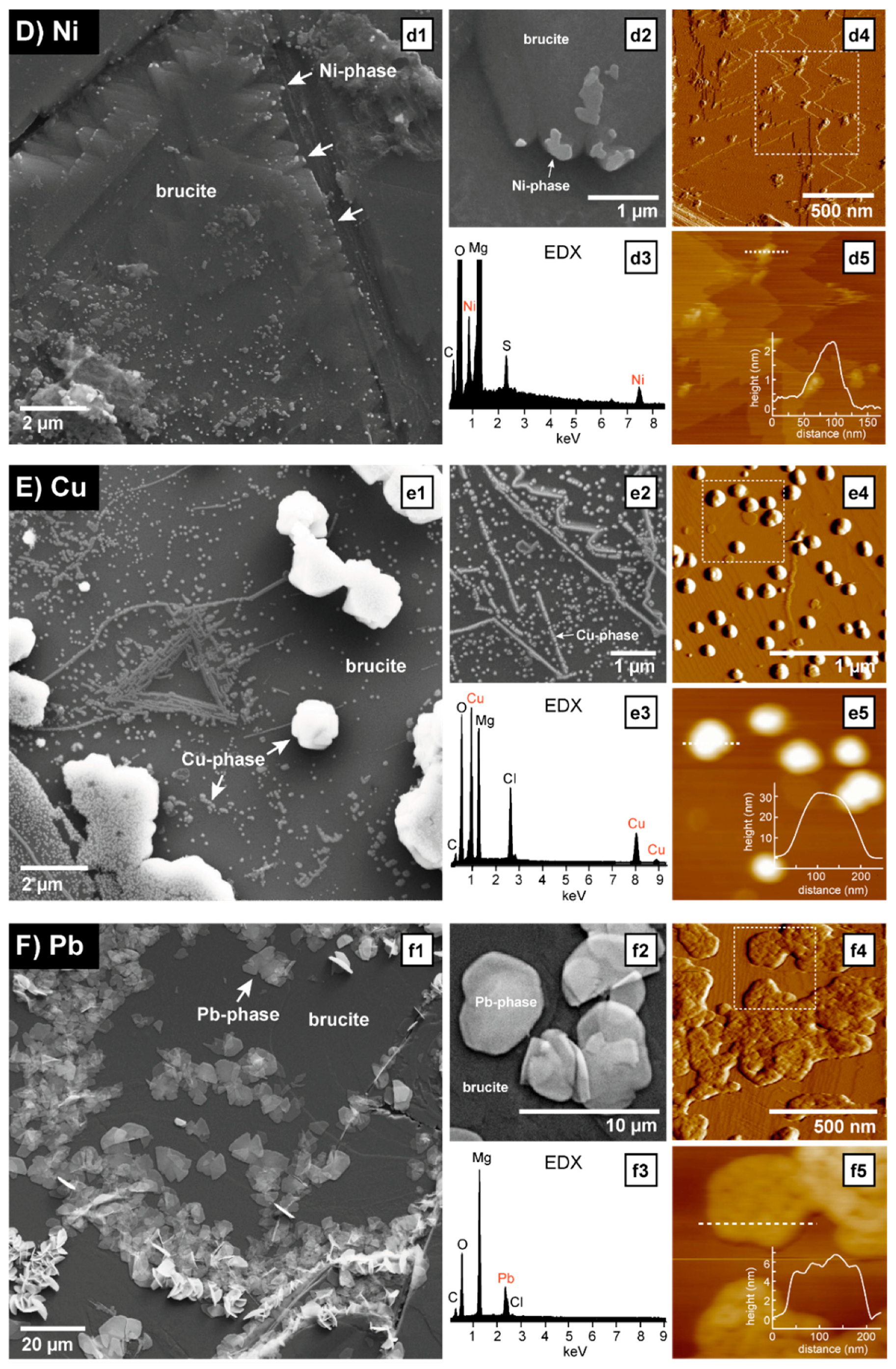 Metal Sequestration through Coupled Dissolution–Precipitation at the ...