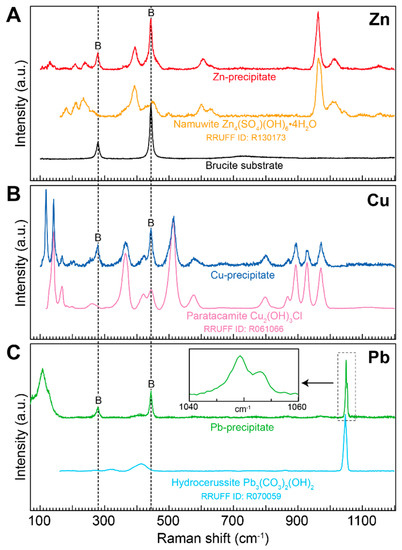 Metal Sequestration through Coupled Dissolution–Precipitation at the ...