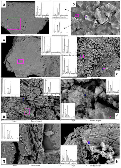 Minerals | Free Full-Text | Authigenic Clay Minerals from Interface ...