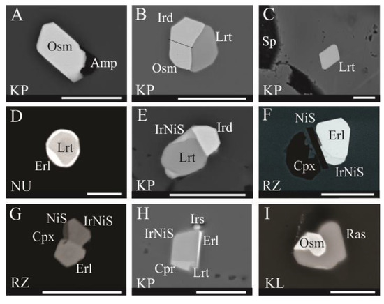 Origin of Platinum Group Minerals (PGM) Inclusions in Chromite Deposits ...