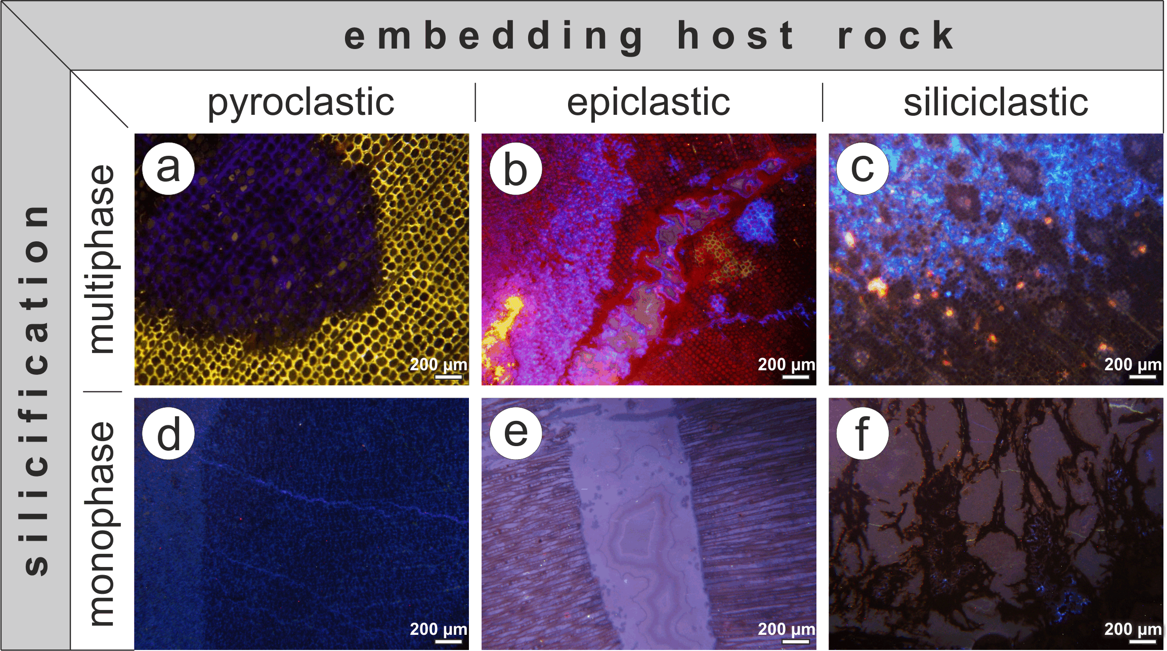 Minerals | Free Full-Text | Deciphering Silicification Pathways of ...