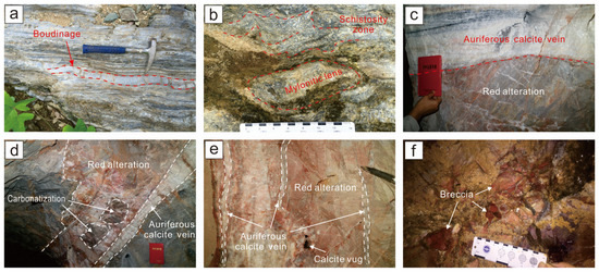 Rare Earth Elements Geochemistry and C–O Isotope Characteristics of ...