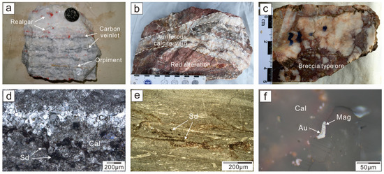 Rare Earth Elements Geochemistry and C–O Isotope Characteristics of ...