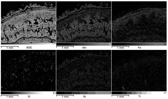 Integrated Geochemical and Morphological Data Provide Insights into the ...