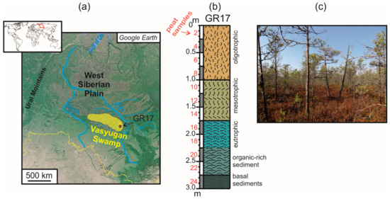 Authigenic and Detrital Minerals in Peat Environment of Vasyugan Swamp ...