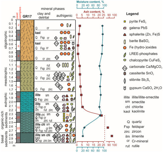 Authigenic and Detrital Minerals in Peat Environment of Vasyugan Swamp ...