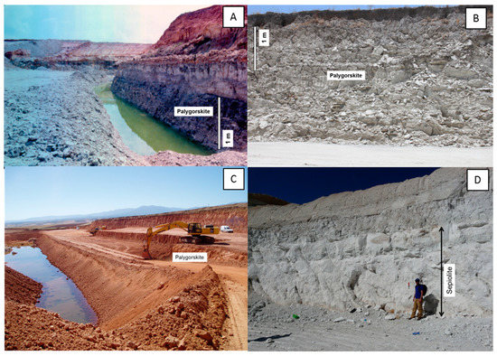 An Overview of Authigenic Magnesian Clays
