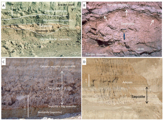 Minerals | Special Issue : Authigenic Clay Minerals: Mineralogy ...
