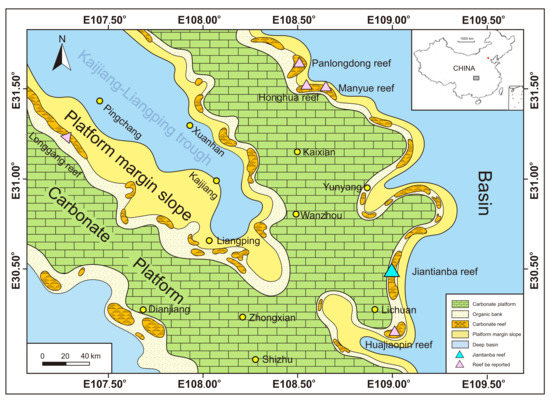 Depositional Architecture and Facies of a Complete Reef Complex ...