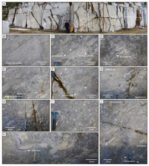 Depositional Architecture and Facies of a Complete Reef Complex ...
