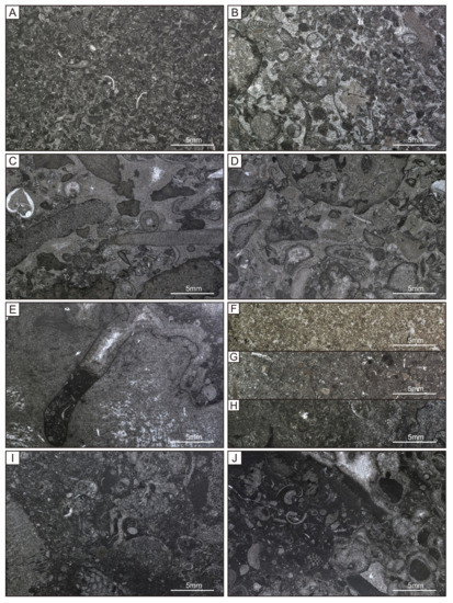 Depositional Architecture and Facies of a Complete Reef Complex ...