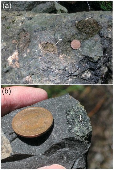 Abyssal Peridotite as a Component of Forearc Mantle: Inference from a ...