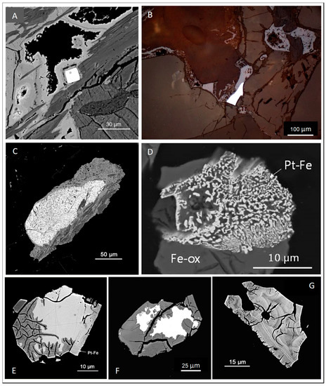 The Fate of Platinum-Group Minerals in the Exogenic Environment—From ...