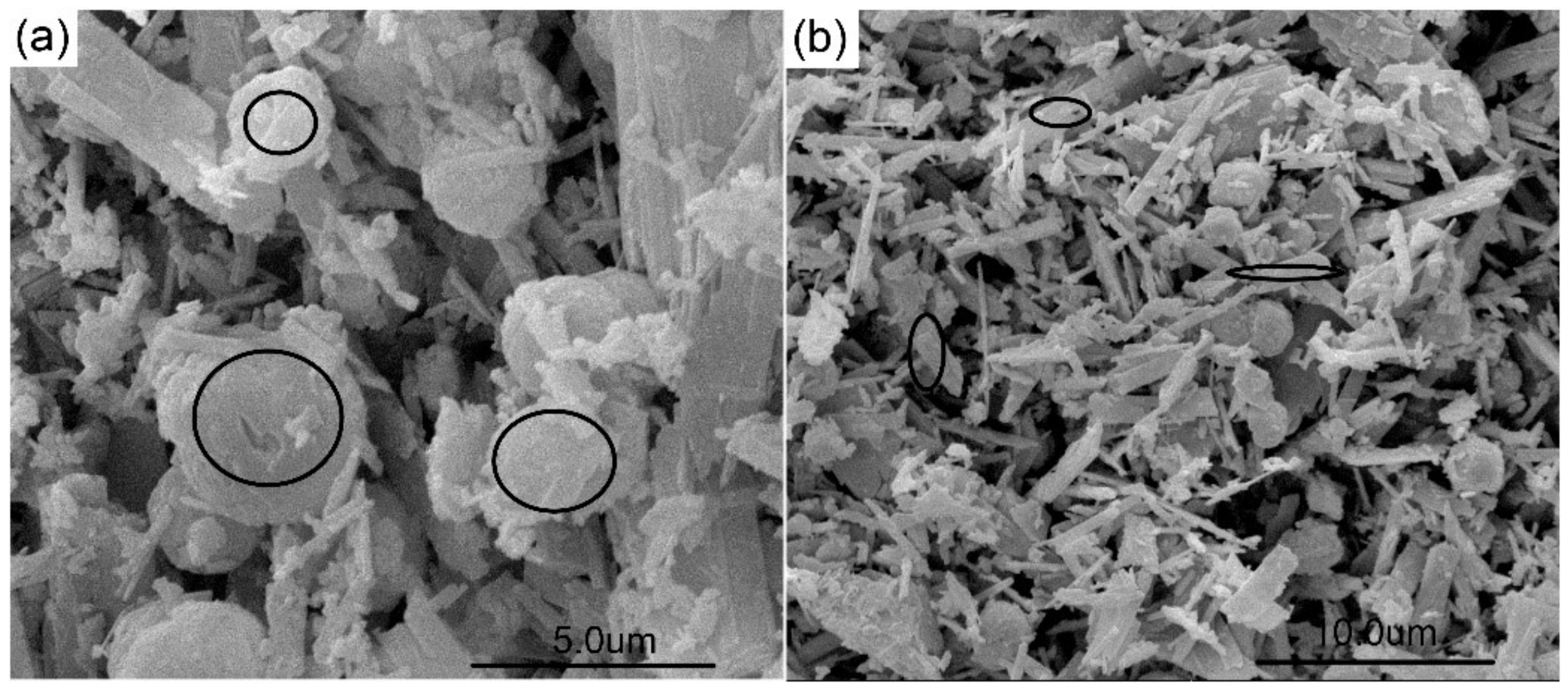 Study of K-Feldspar and Lime Hydrothermal Reaction: Phase and Mechanism ...
