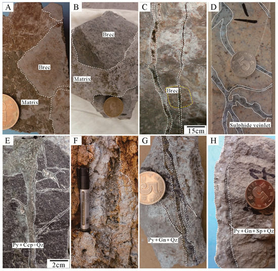 Minerals | Free Full-Text | Ore Genesis at the Jinchang Gold–Copper ...