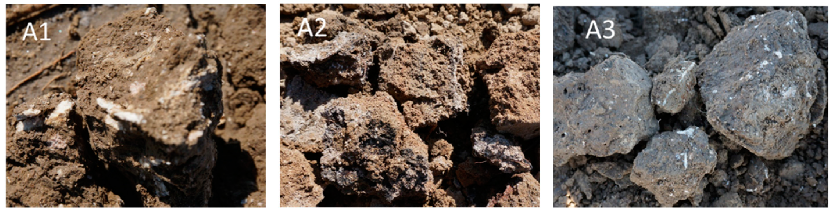 Minerals | Free Full-Text | Origin of Smectite in Salinized Soil of ...