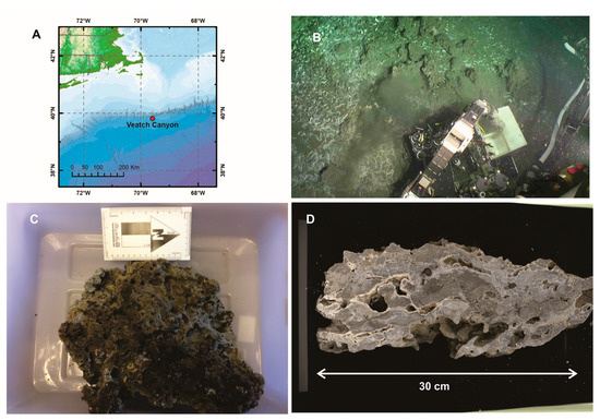 Characterization of Carbonate Crust from a Recently Discovered Methane ...