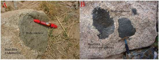 Minerals | Free Full-Text | Magma Mixing Genesis of the Mafic Enclaves in the Qingshanbao ...