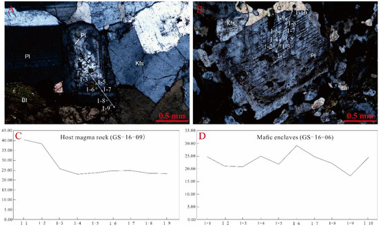 Minerals | Free Full-Text | Magma Mixing Genesis of the Mafic Enclaves in the Qingshanbao ...