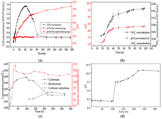 Mechanism of Biomineralization Induced by Bacillus subtilis J2 and ...