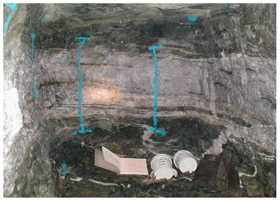 Integrating the Theory of Sampling into Underground Mine Grade Control ...