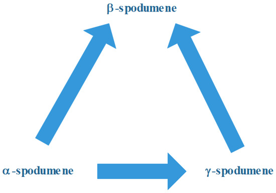 Spodumene: The Lithium Market, Resources and Processes