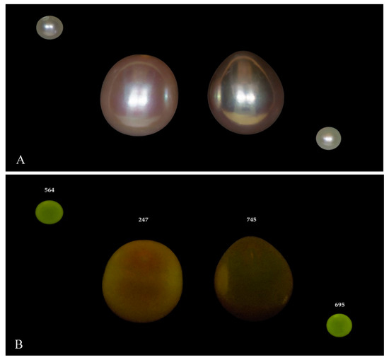 Chemical Characteristics of Freshwater and Saltwater Natural and ...