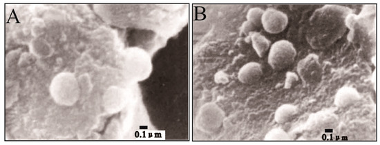 Can Primary Ferroan Dolomite and Ankerite Be Precipitated? Its ...