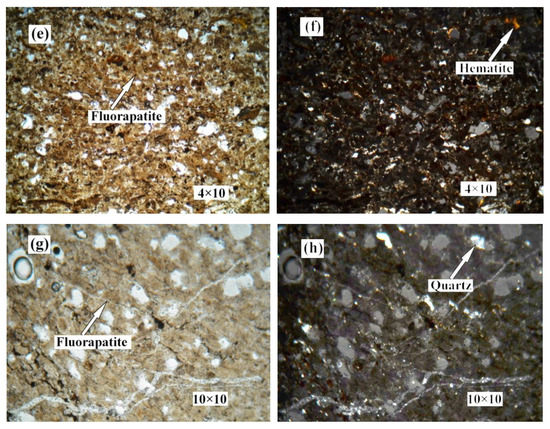 Geochemical Characteristics of Dolomitic Phosphorite Containing Rare ...