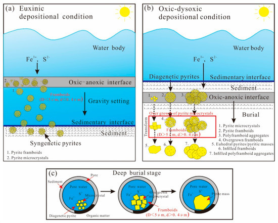 Pyrite Morphology as an Indicator of Paleoredox Conditions and Shale ...