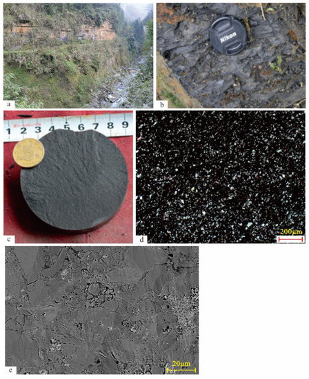 The Albitization of K-Feldspar in Organic- and Silt-Rich Fine-Grained ...