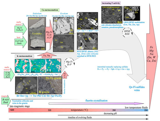HFSE-REE Transfer Mechanisms During Metasomatism of a Late Miocene ...
