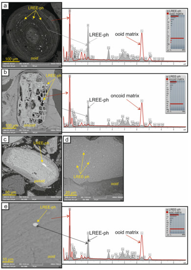 Minerals of Rare Earth Elements in High-Phosphorus Ooidal Ironstones of ...