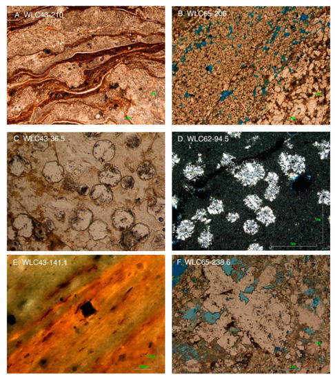 Lithium-Rich Claystone in the McDermitt Caldera, Nevada, USA: Geologic ...